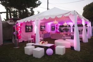 Backyard Birthday Party with Marquee in Auckland - Marquee Hire